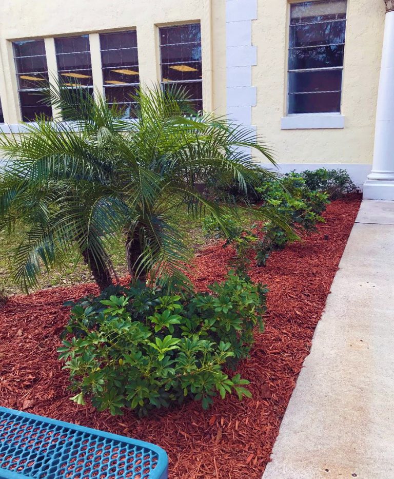 Floresta Elementary – Projects