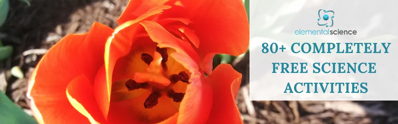 elementalscience – St Lucie Public Schools